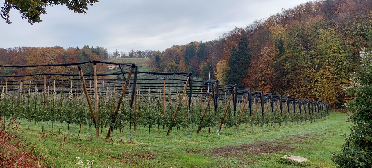 Vinko Medved: brez namakanja in oroševanja ne moreš biti profesionalni ...