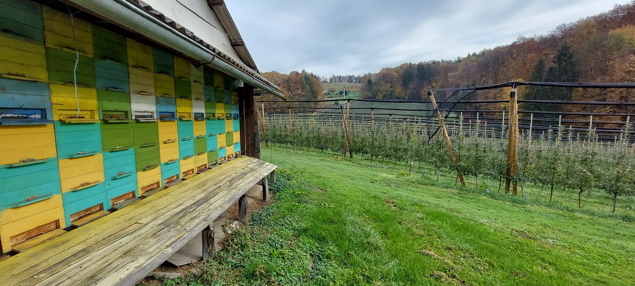 Vinko Medved: brez namakanja in oroševanja ne moreš biti profesionalni ...