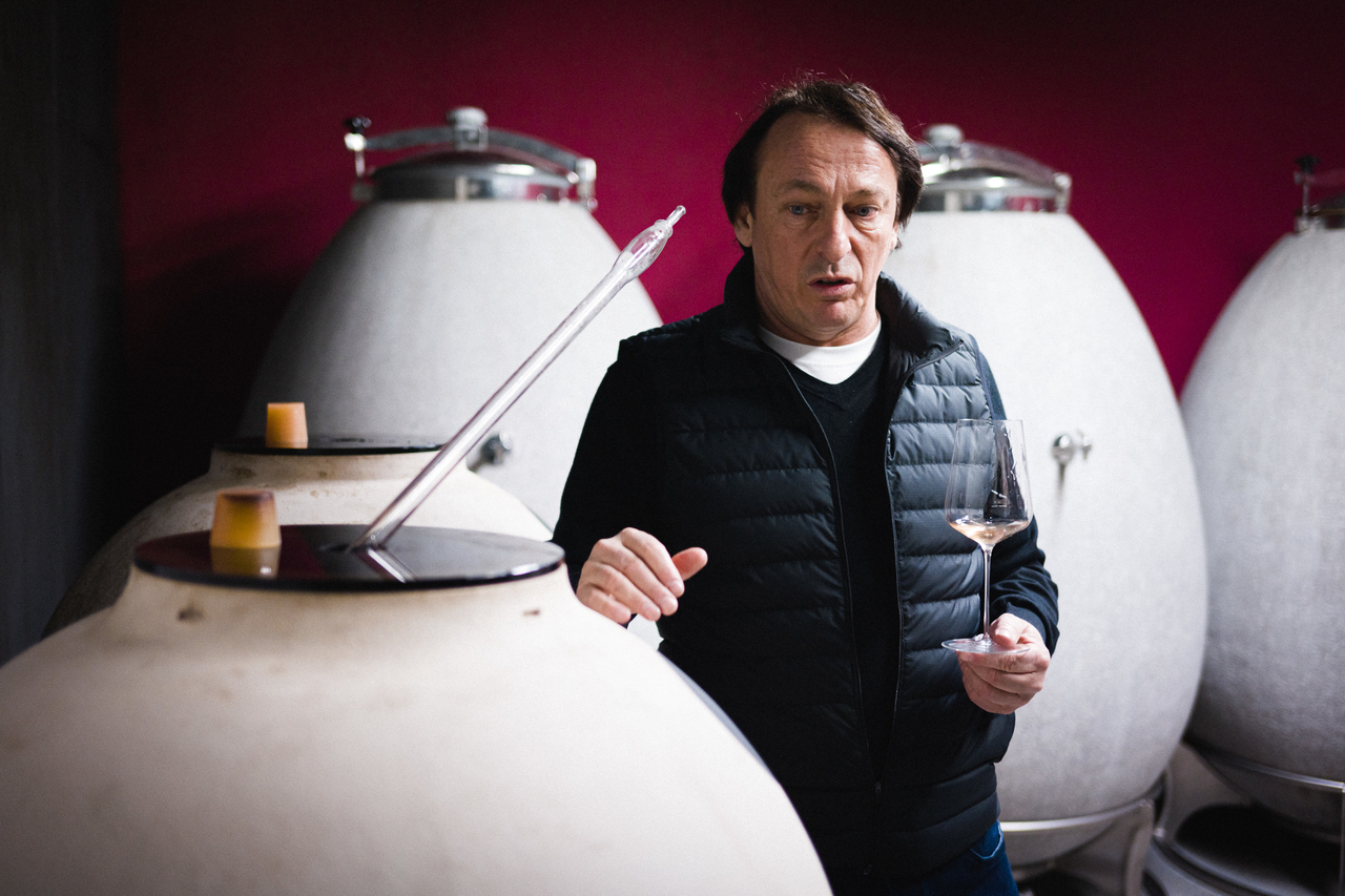 Slovenia—a land of boutique wines and authentic winemakers