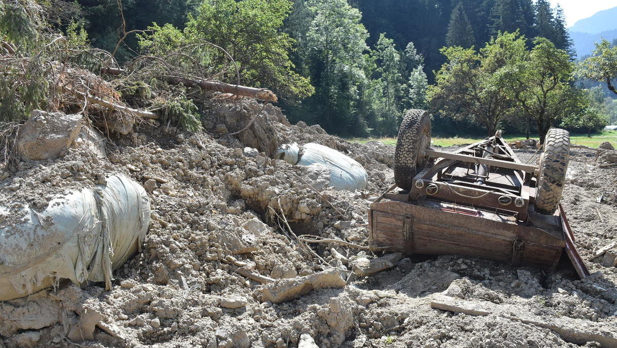 Katere ukrepe za kmetijstvo in gozdarstvo prinaša zakon o obnovi
