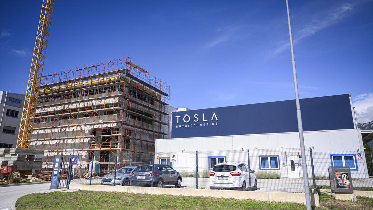 Tosla: Kako finančnik iz kolagena letno iztisne 7,5 milijona. Čistega.
