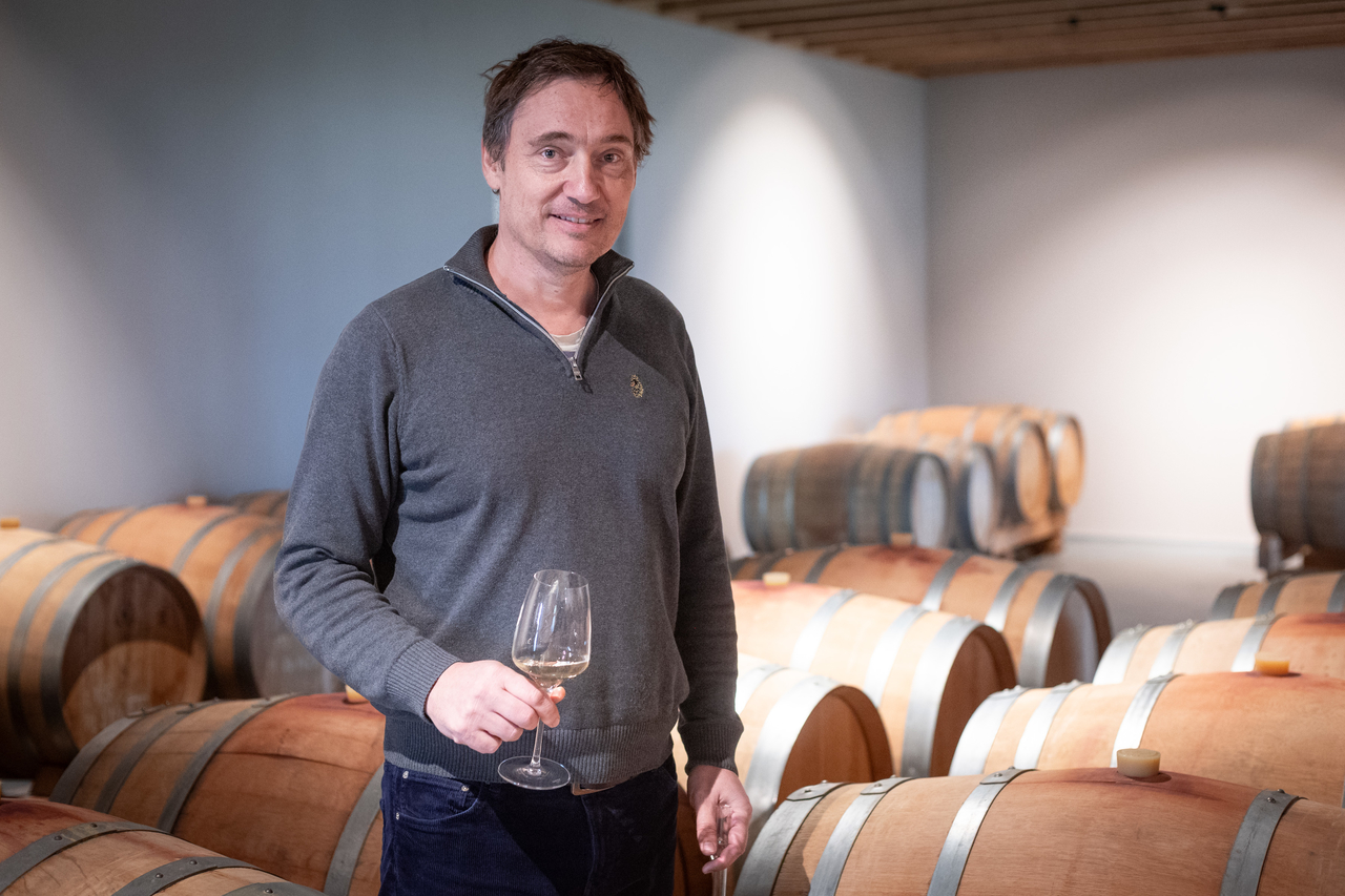 Verus: Naša vina so dobra takoj, ko so napolnjena, dobra pa bodo tudi čez 20 let