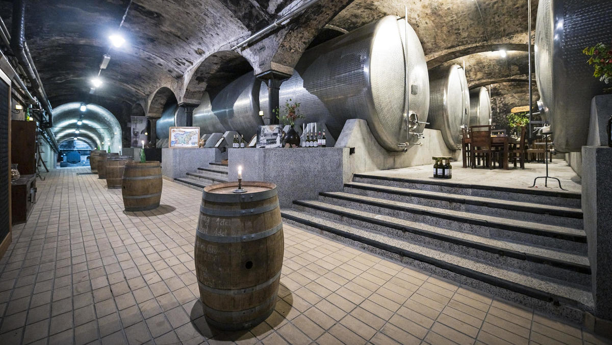 Mariborčan in mariborčanka združena v poljubu