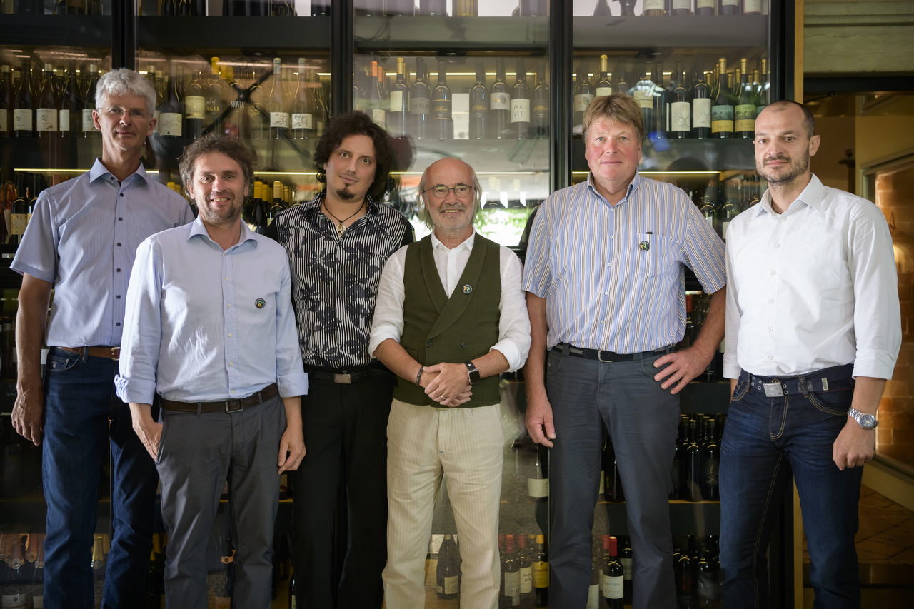 Najbolj brane vinske novice v letu 2018