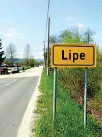 Gozd ni samo les, je življenje