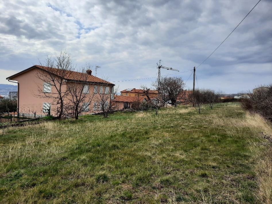 Dražbe: kako do zemljišča, stanovanja ali hiše na slovenski obali