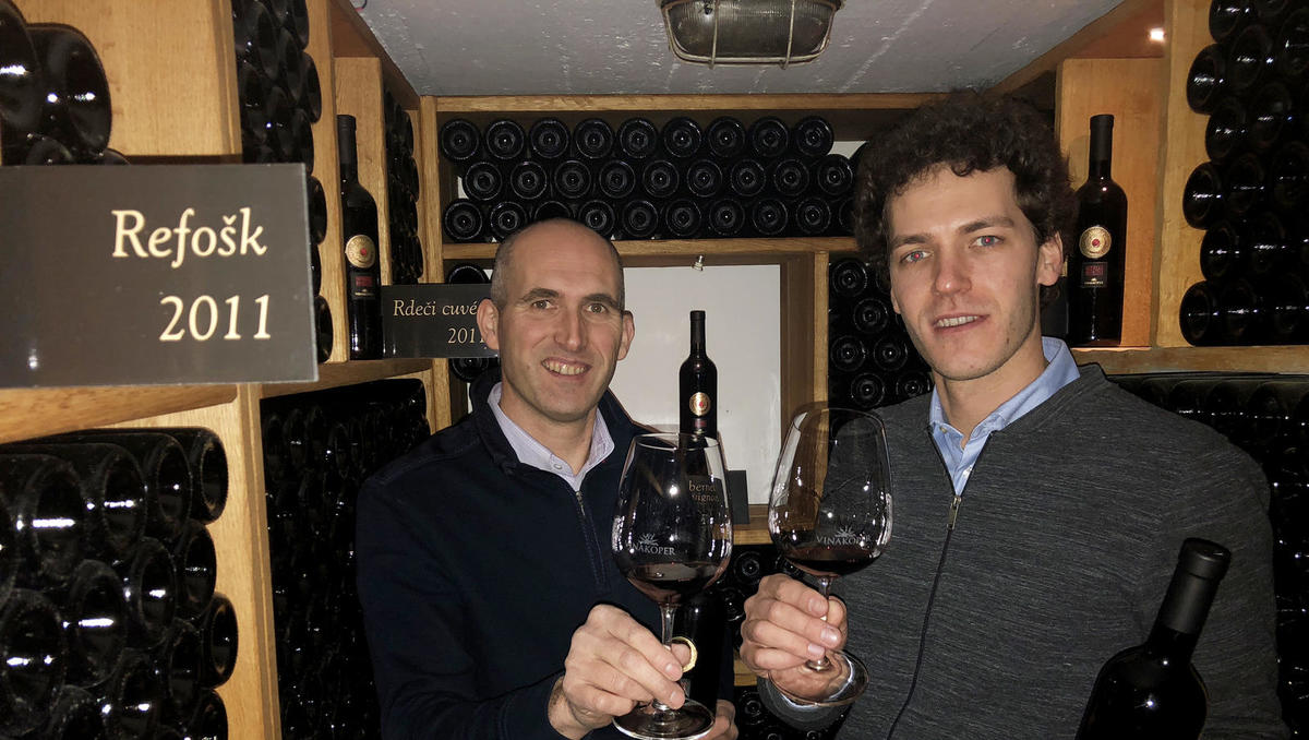 Vinski vodnik 2020: Istra in Kras