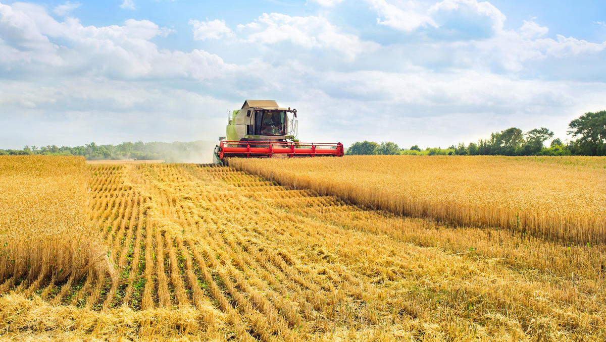 Poljska ustavlja dobavo orožja Ukrajini sredi trgovinskega spora zaradi ...