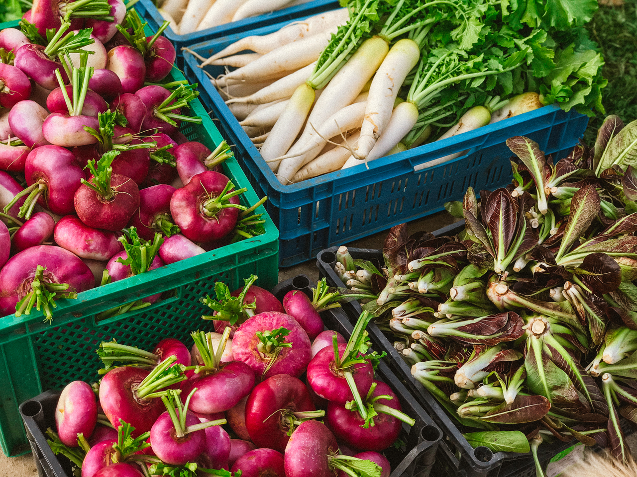 Najboljši evropski ekološki kmet z 22 hektarji posestva in restavracijo ...